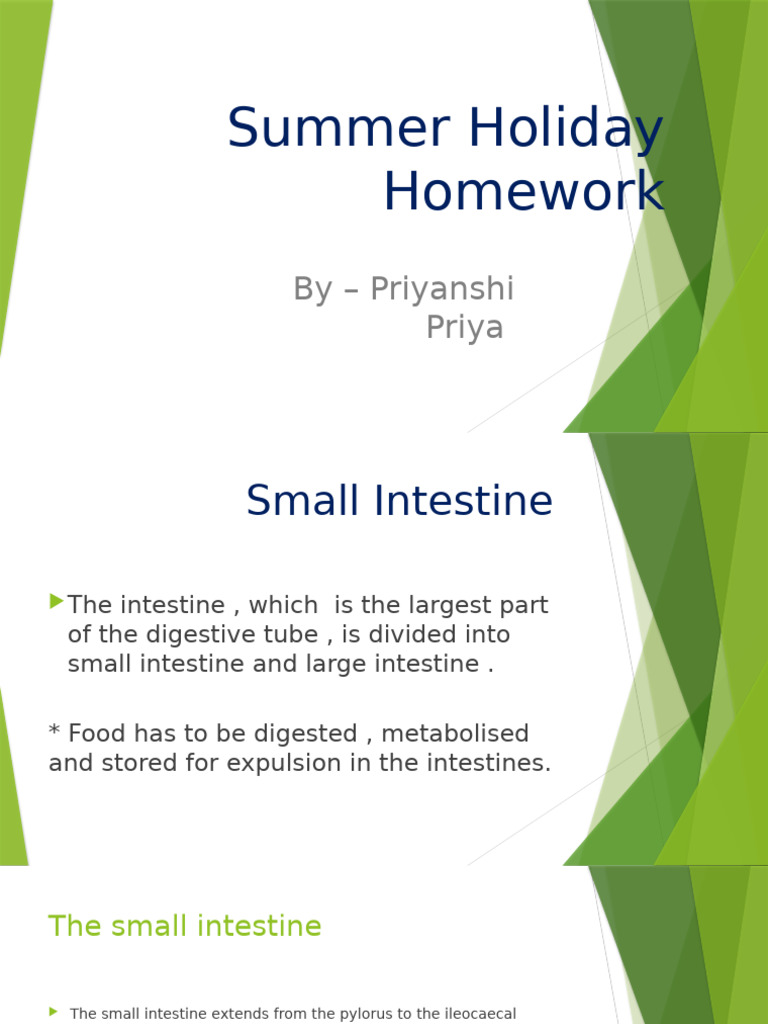 Summer Holiday Homework | PDF