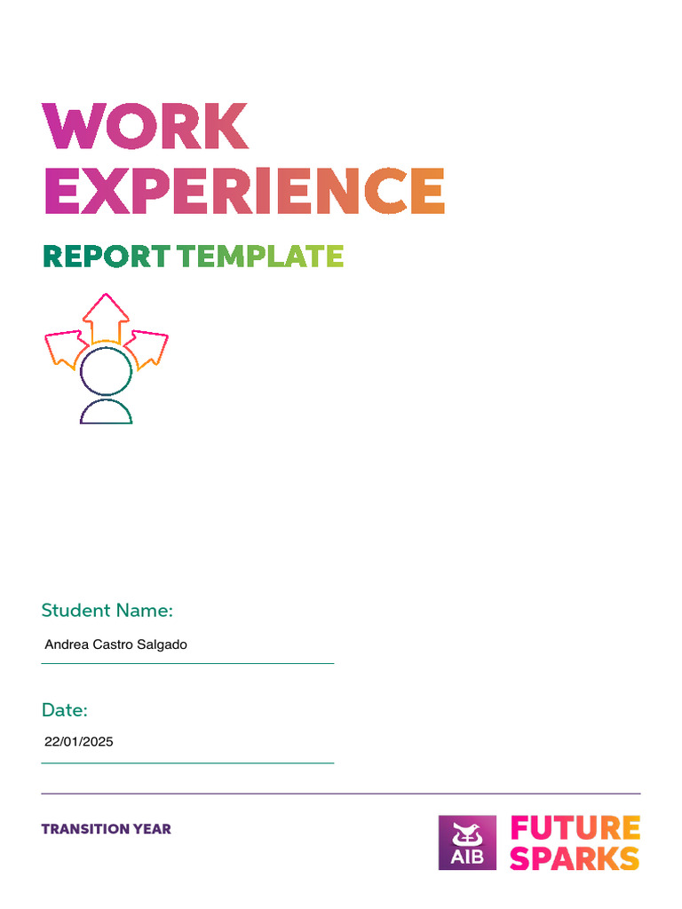 Transition Year Work Experience Report | PDF