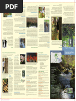 List of Registered Foresters | PDF | Gaelic Games | Munster Gaa