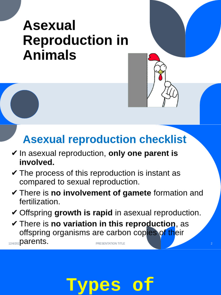 LESSON 7 - Asexual Reproduction in Animals | PDF | Reproduction ...
