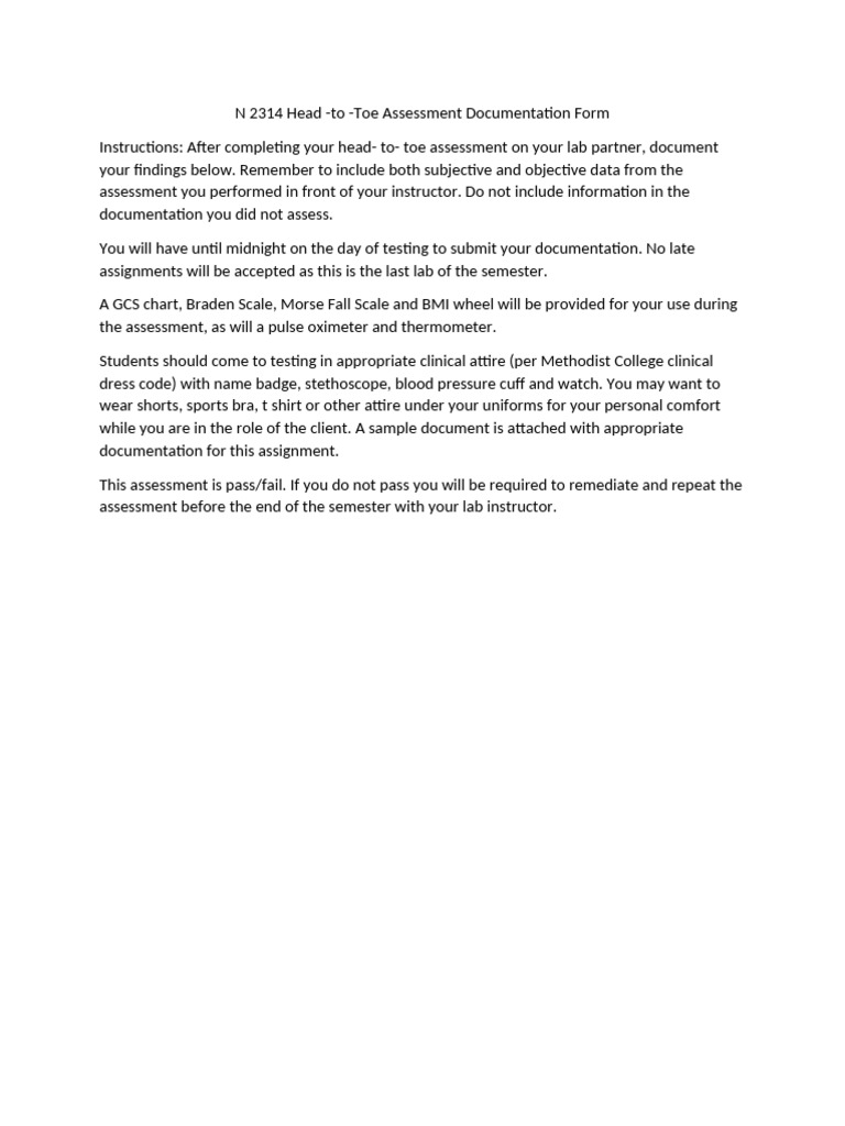 Head-to-Toe Assessment Documentation Form | PDF | Blood Pressure ...