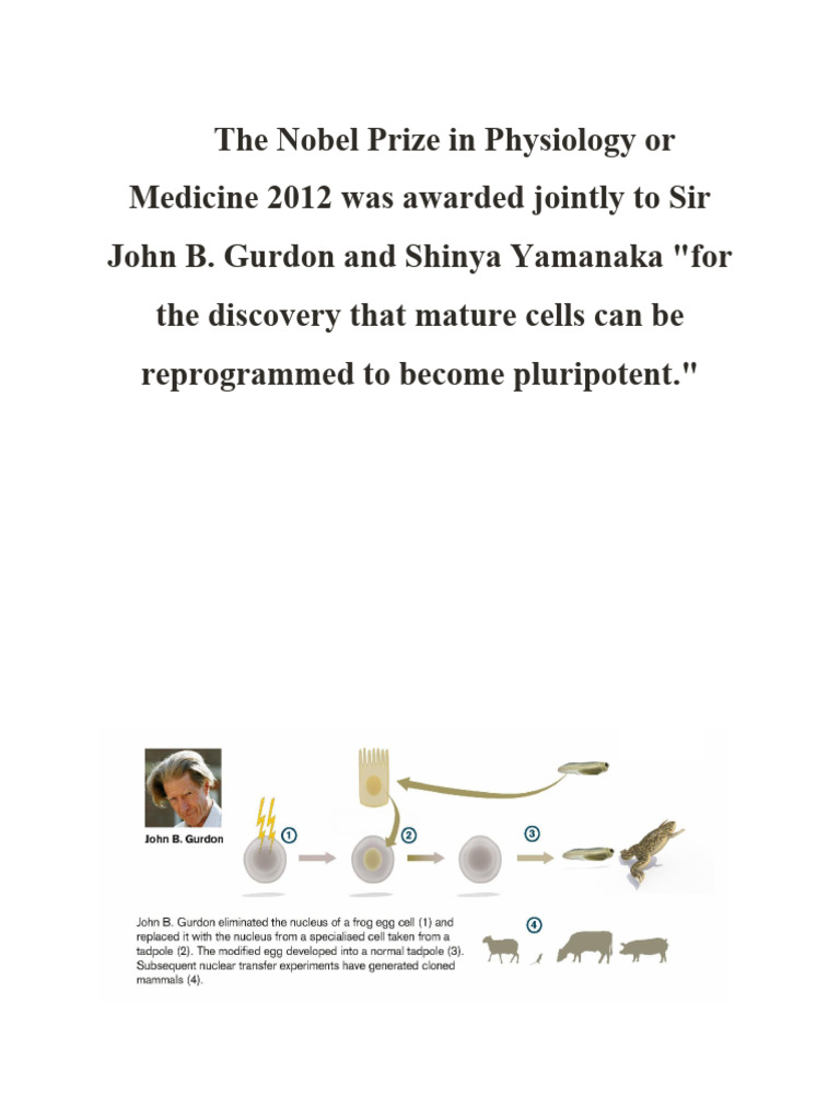 Nobel Prize | PDF | Cell Potency | Stem Cell