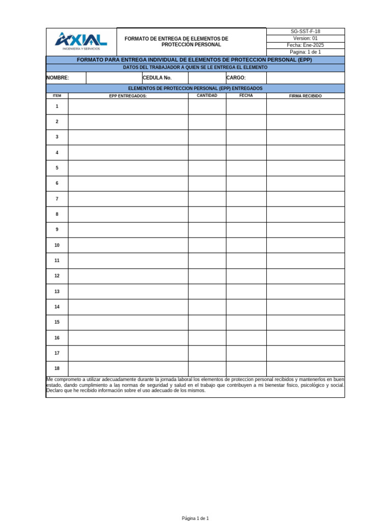 Formato-Para Entrega (Epp) | PDF