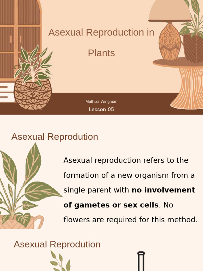 Lesson 5 - Asexual Reproduction of Plants 1 | PDF | Plant Reproduction ...