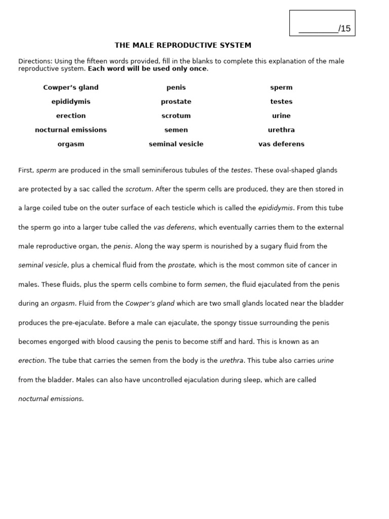 Male Reproductive System Pathway - 6 - 14 - 21 | PDF