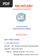 Bài 1 - Biểu Mô | PDF