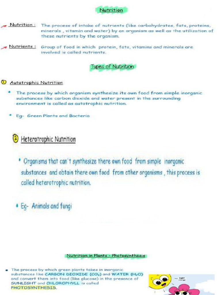 Life Processes Notes Nutrition 2025 26 Class 10 | PDF