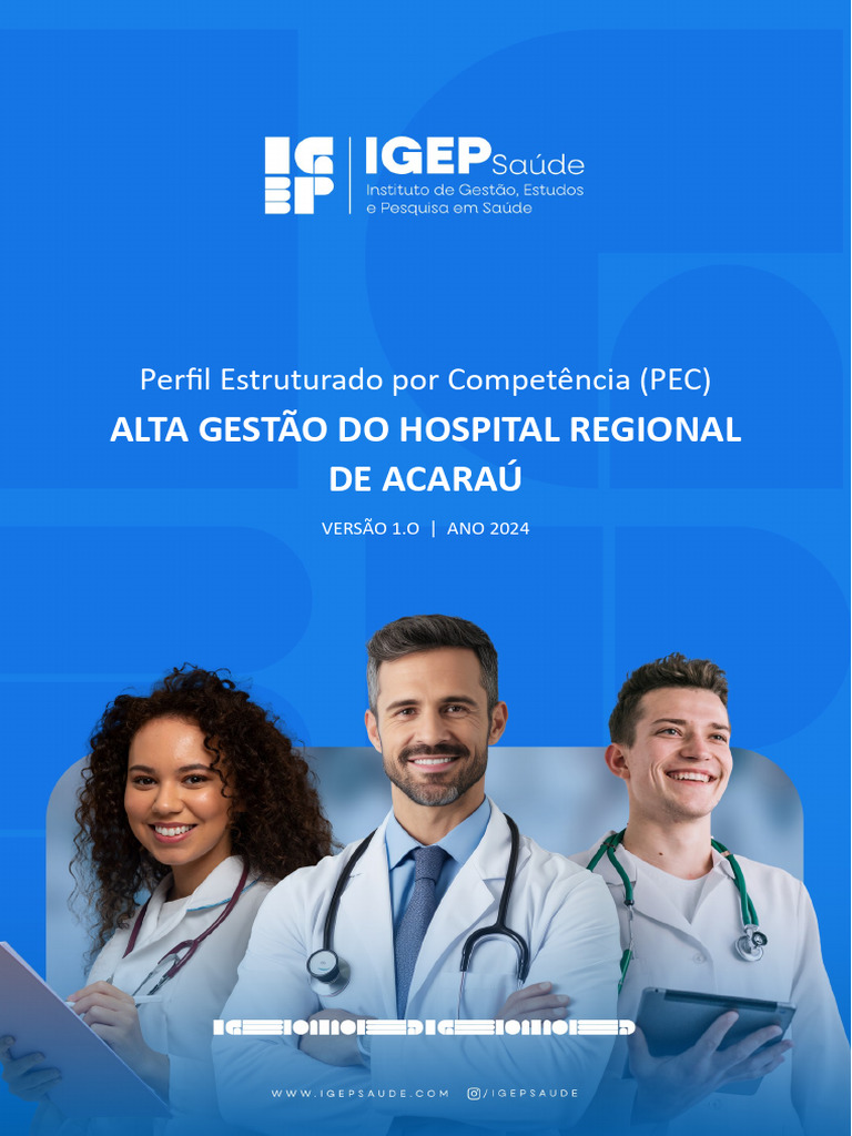 Perfil Estruturado Por Competencia Alta Gestão Hra | PDF | Gestão de recursos humanos ...