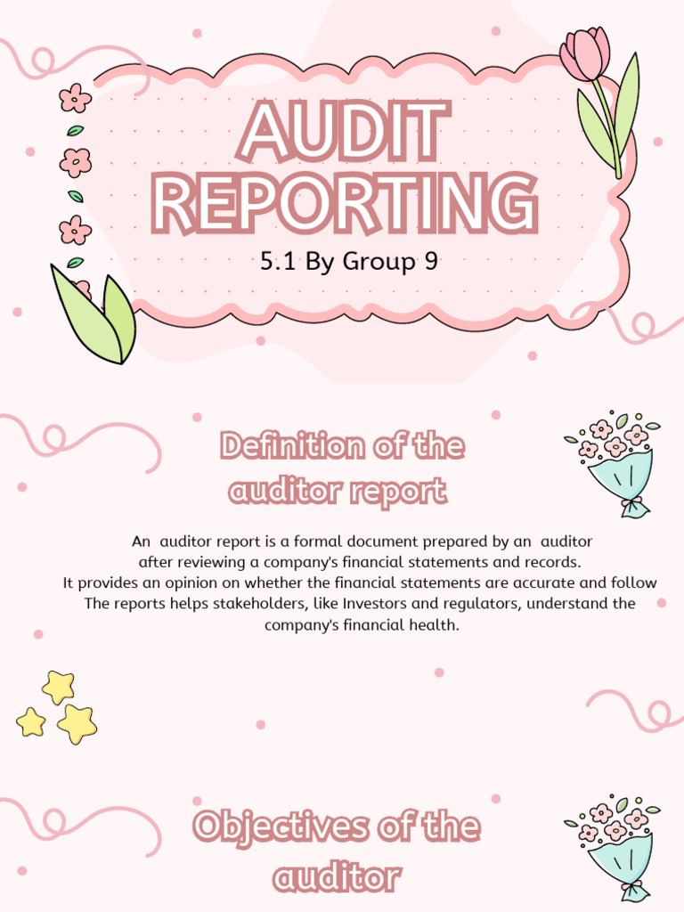 Auditor Report Overview and Guidelines | PDF | Audit | Auditor's Report