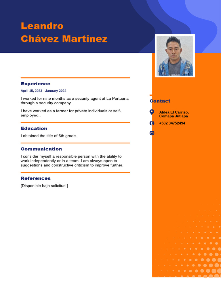 Leandro CV Eng | PDF