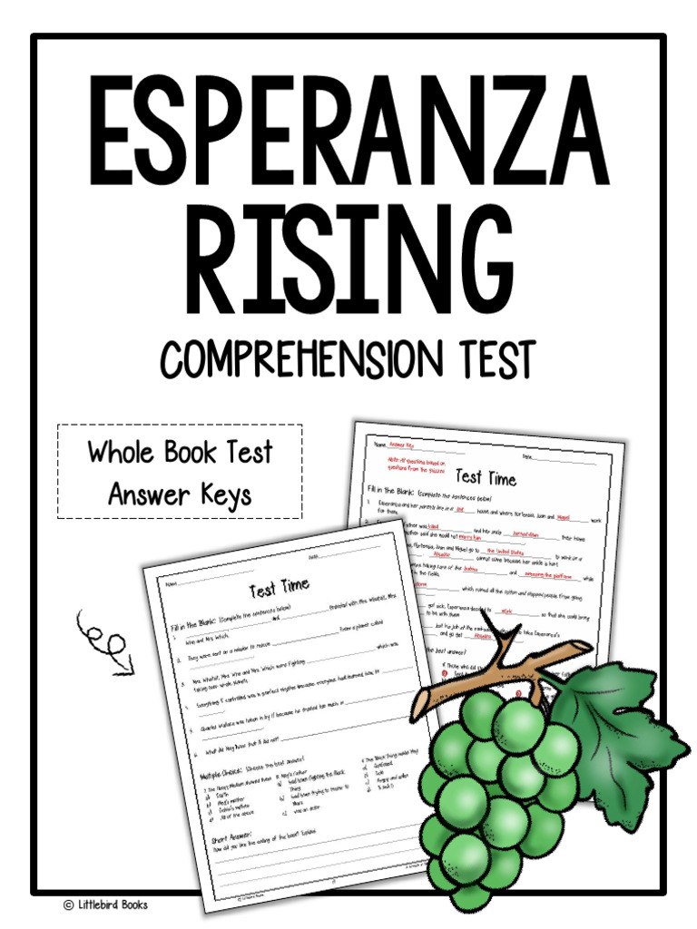 Comprehension Test: Whole Book Test Answer Keys | PDF