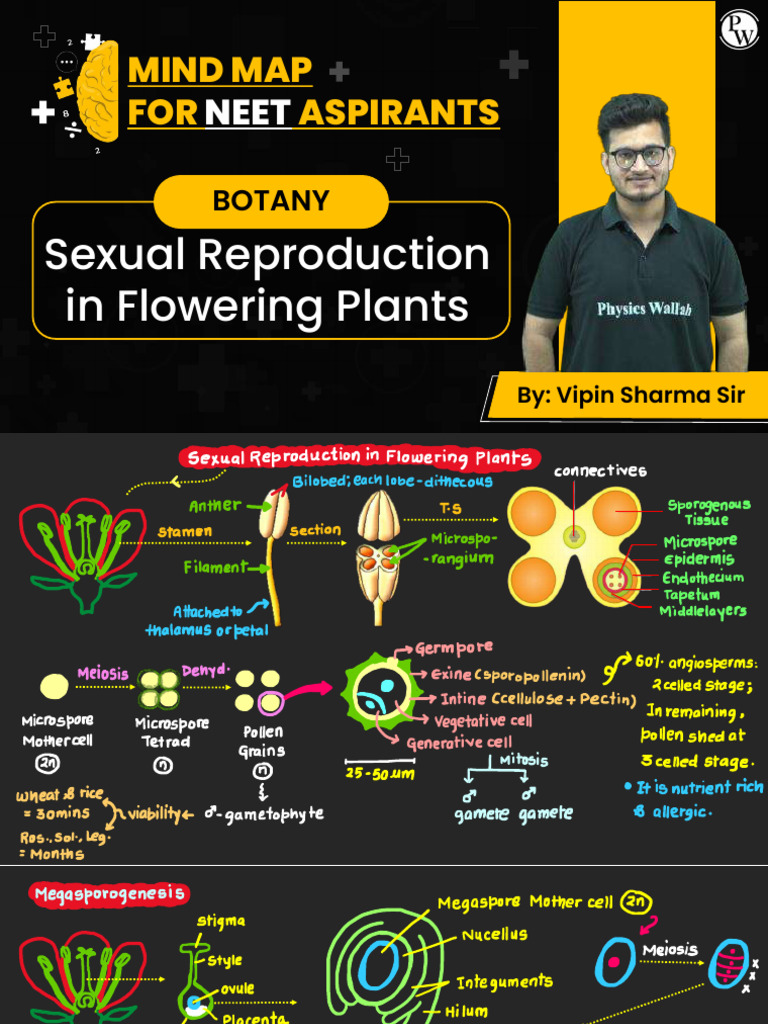 Botany Mind Map Old | PDF