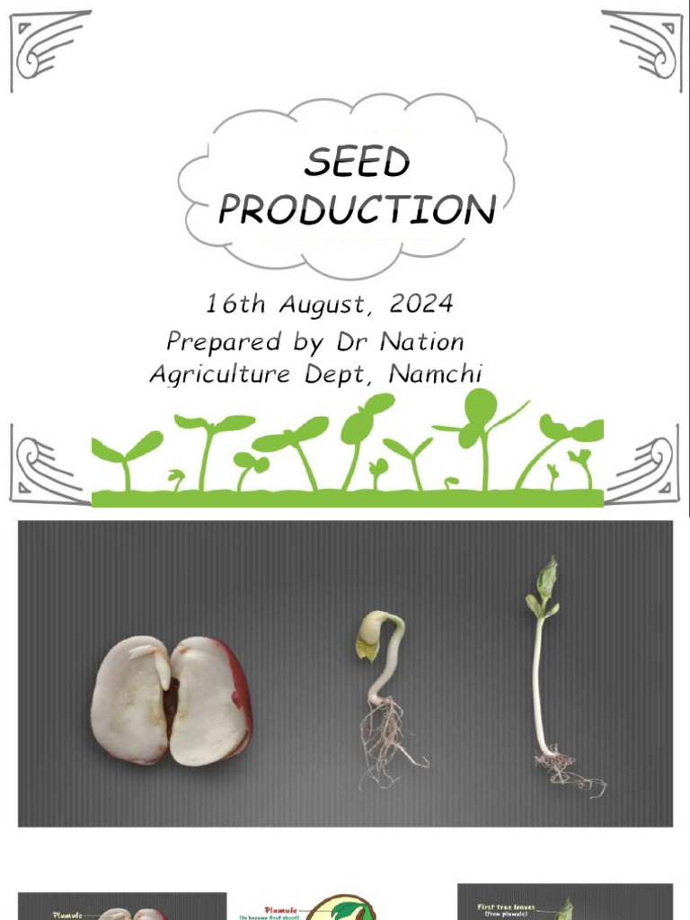 Seed Production - Presented by DR | PDF | Pollination | Seed