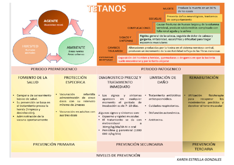 Tetanos | PDF