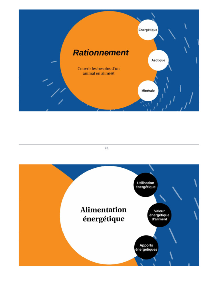 4 Rationnement | PDF