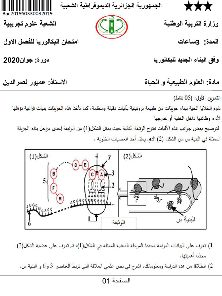 dzexams-3as-sciences-2317916 | PDF
