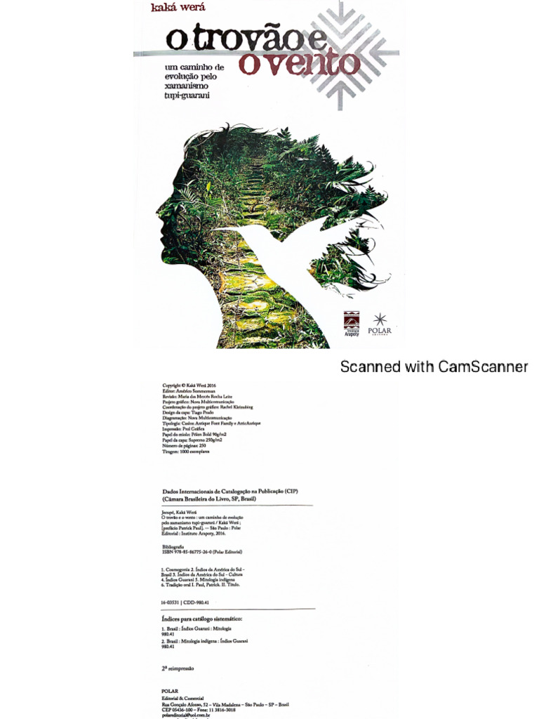 O Trovao e o Vento Cap 2 e Ate Parte 2 Do Cap 3 | PDF