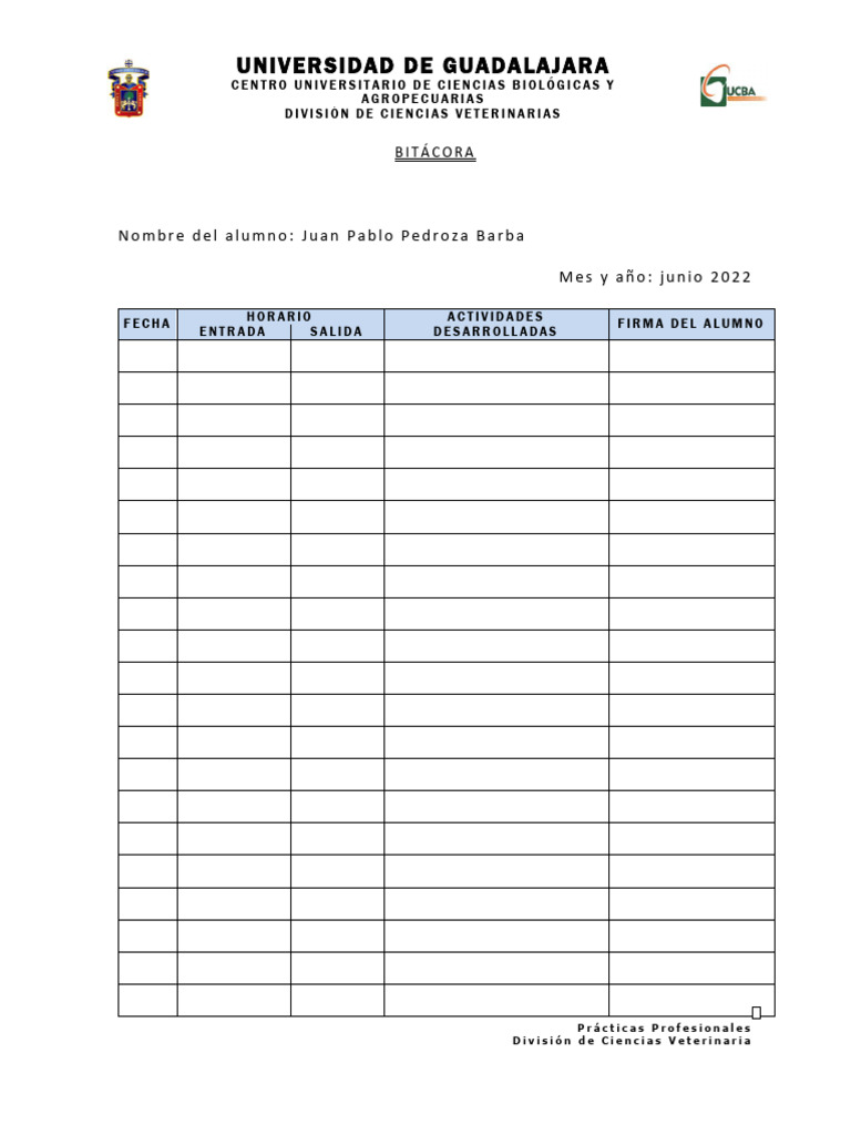 Formato Bitacora Junio | PDF