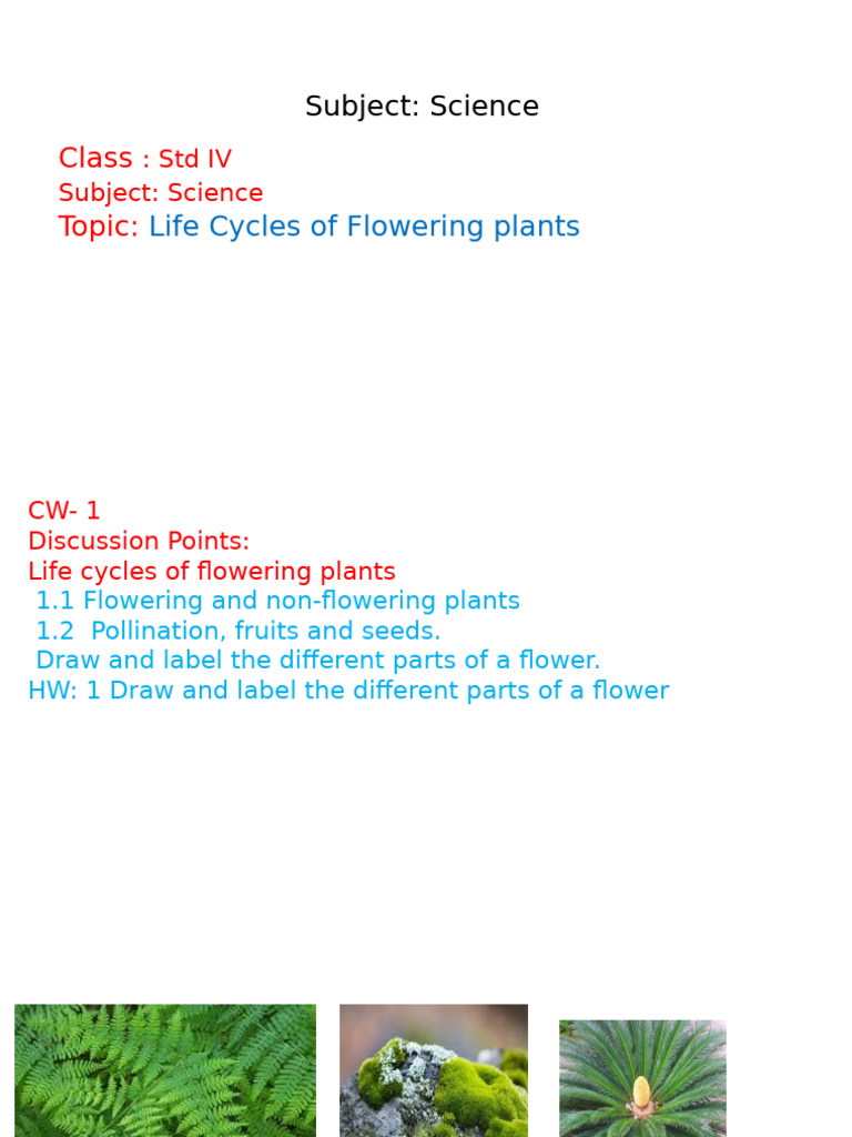 Life Cycle of Flowering Plants | PDF