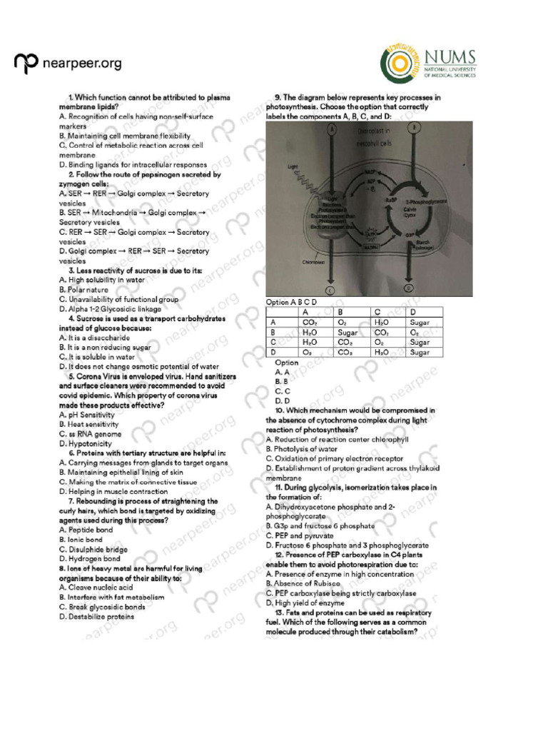 NUMS 2024 Paper | PDF