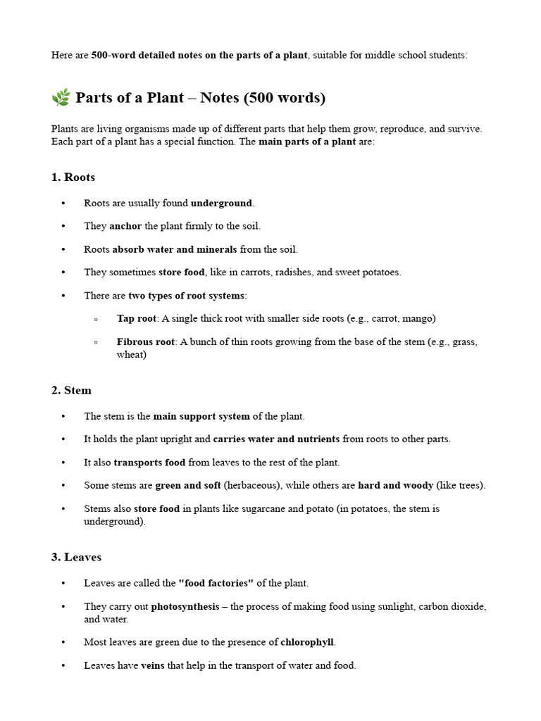 Notes About Parts of A Plant | PDF | Flowers | Seed