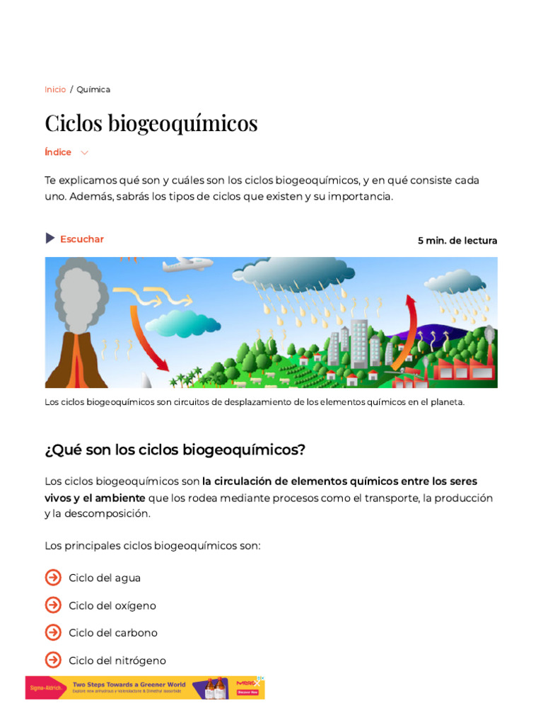 Ciclos Biogeoquímicos - Qué Son, Tipos y Su Importancia | PDF | Agua | Oxígeno