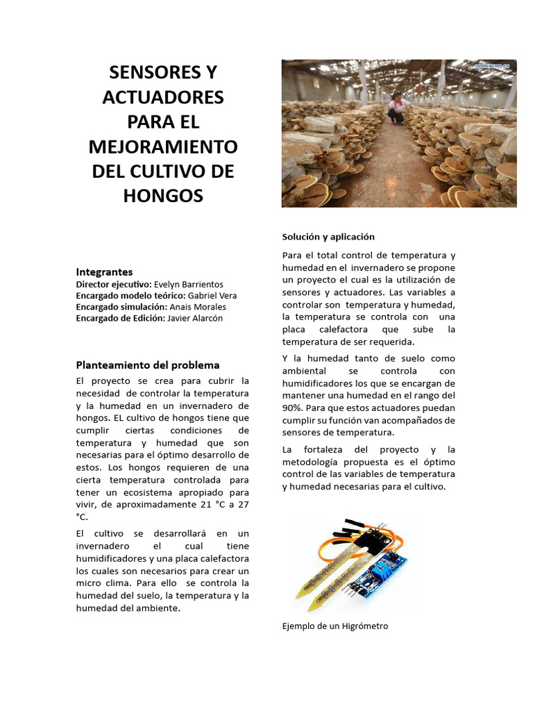 informe programacion | PDF | Arduino