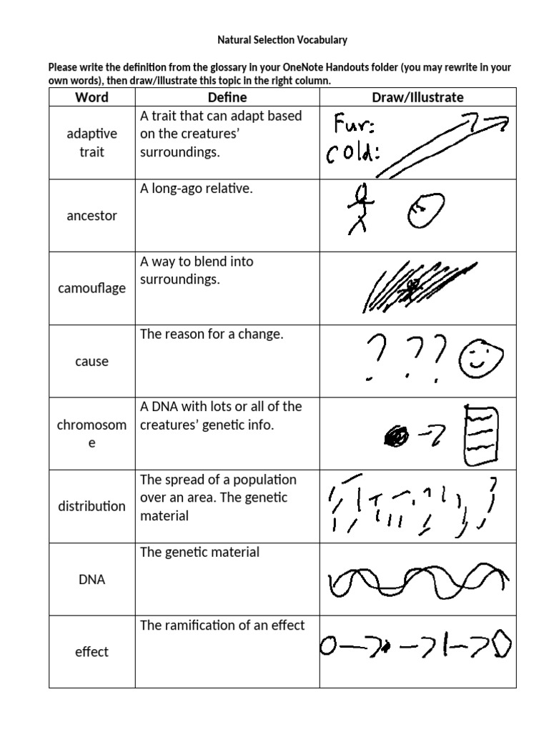 Natural Selection Vocabulary Guide | PDF