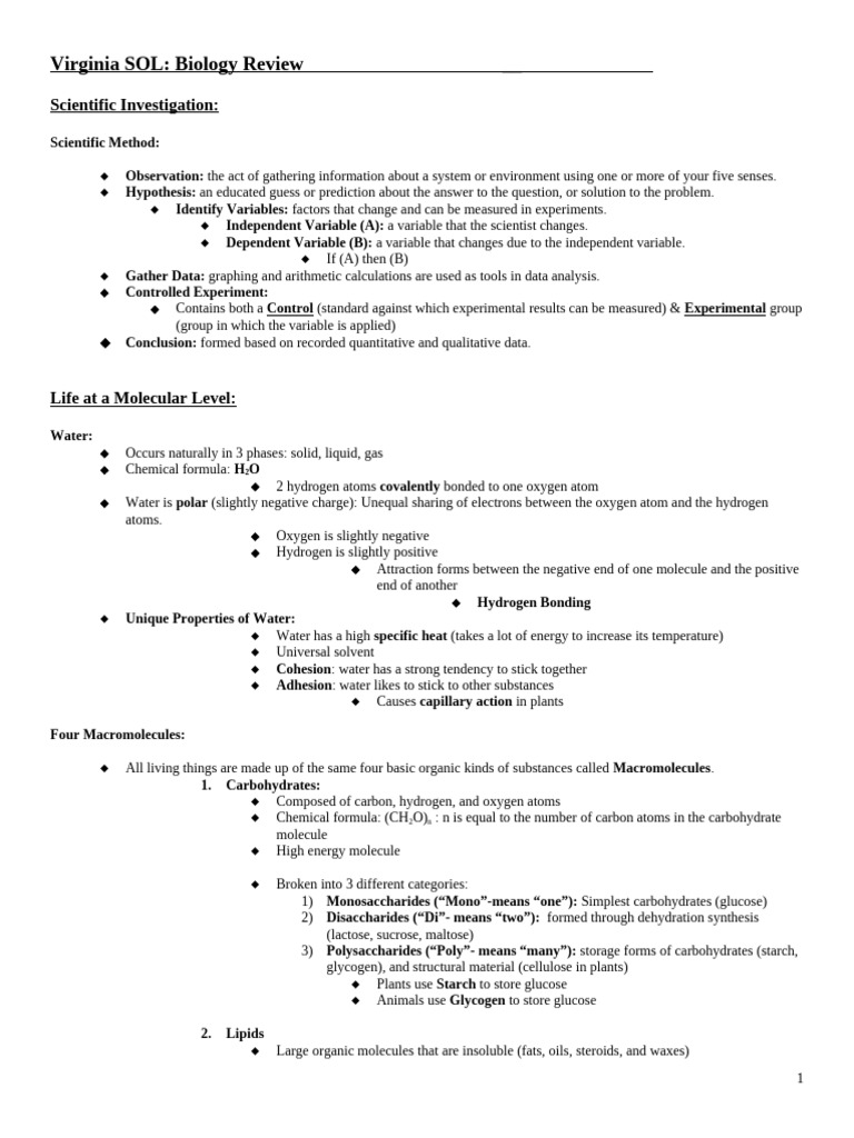 Virginia Biology SOL Review Guide | PDF | Meiosis | Cellular Respiration