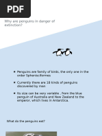 Life Cycle of Penguin | PDF | Penguin | Birds