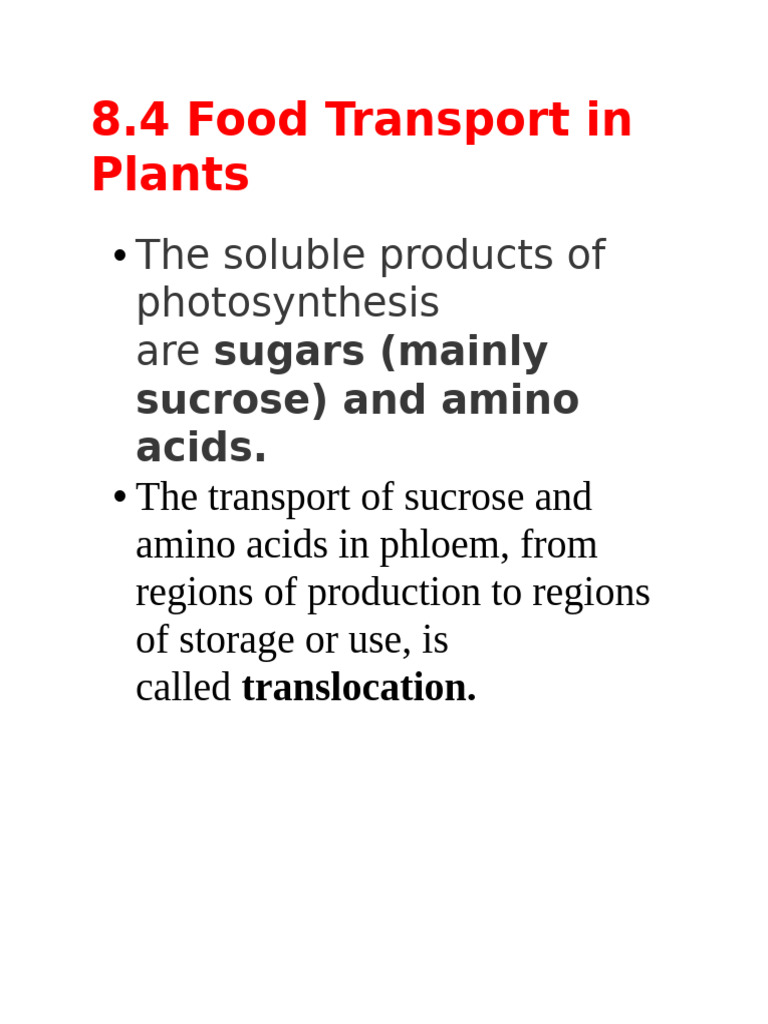 8.4 Food Transport in Plants | PDF