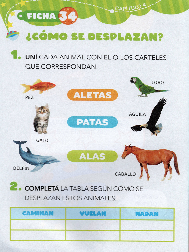 Fichas Cs - Nat | PDF