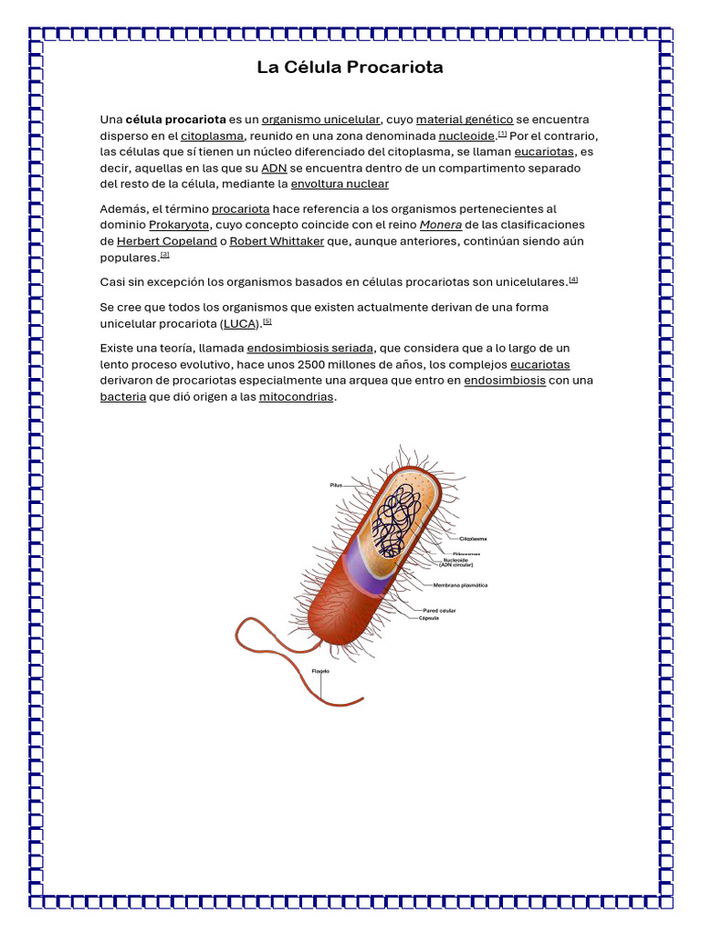Celula Procariota | PDF
