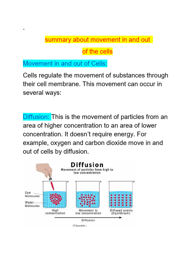 Movement in and Out of Cells | PDF