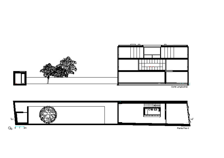 Corte Longitudinal | PDF