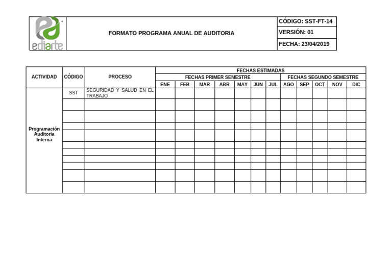 Formato Programa Anual de Auditoria | PDF