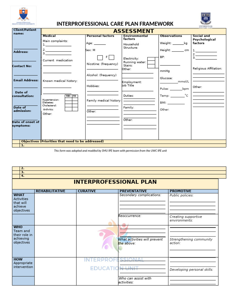 IPECP Assessment Care Plan Framework 2025 Students - Tagged | PDF ...