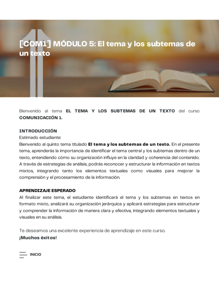 Gráficos y subtemas en textos mixtos | PDF | Aprendizaje | Infografia