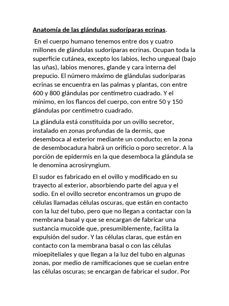 Anatomía de Las Glándulas Sudoríparas Ecrinas | PDF | Biología | Órgano ...