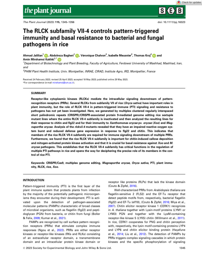 The Plant Journal - 2023 - Jalilian - The RLCK Subfamily VII 4 Controls ...