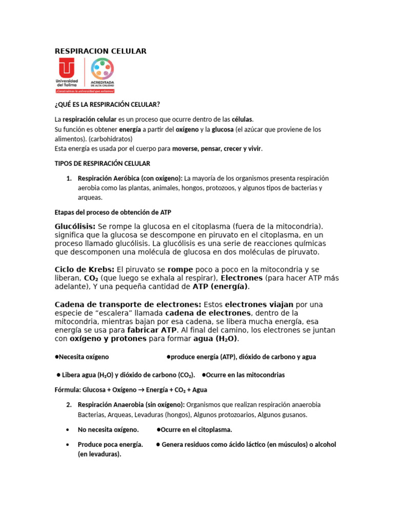 Respiracion Celular Actividad | PDF | Respiración celular | Trifosfato de adenosina