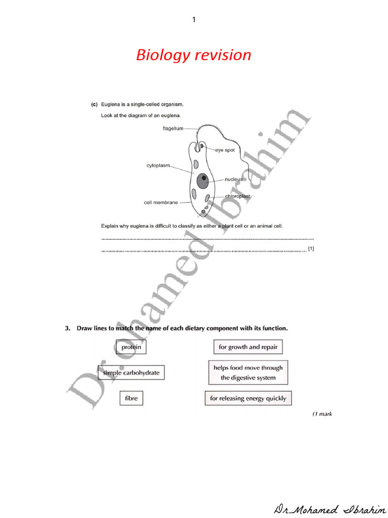 Biology Revision G7 2nd Term | PDF