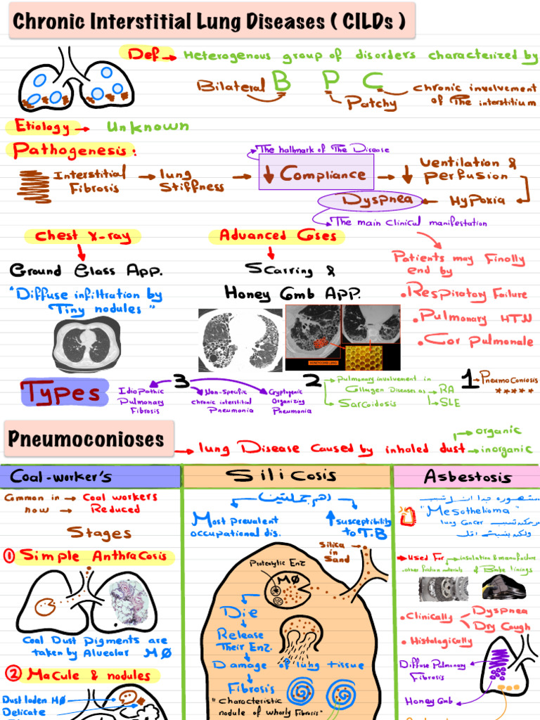 Patho by Dr.elnemr [310][5] | PDF | Lung Cancer | Respiratory Diseases