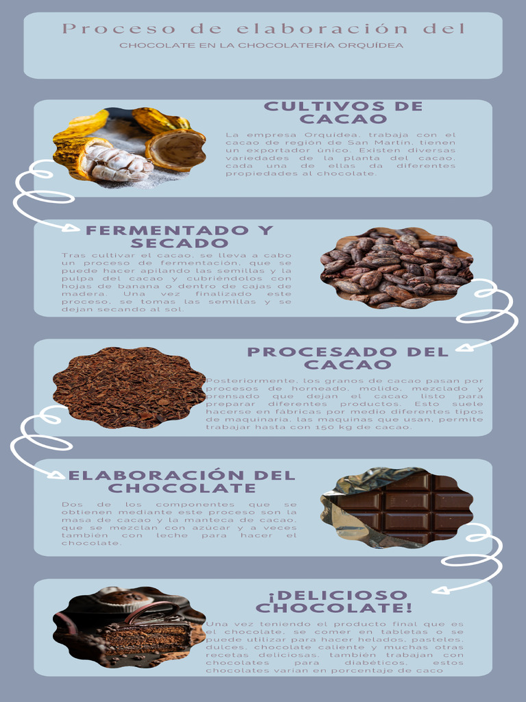 Infografía Proceso de Elaboración Del Chocolate Día Mundial Del ...