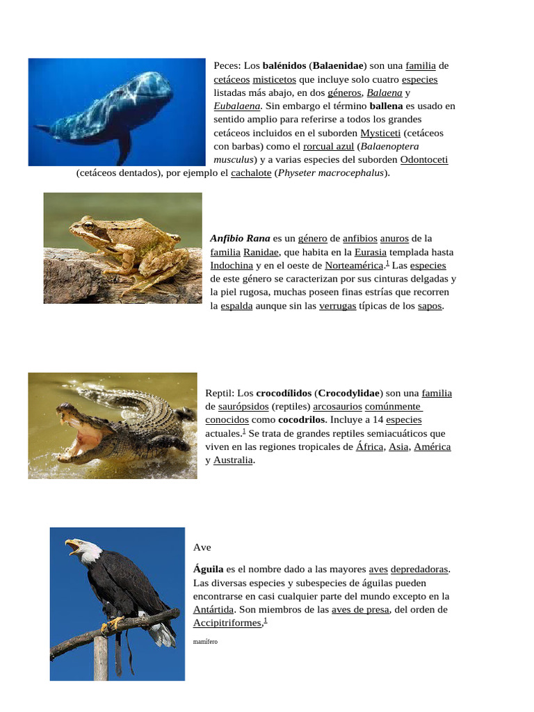 1 de Cada Uno Peces, Anfibio, Mamifero, Antropodo y Seres Vivos | PDF ...