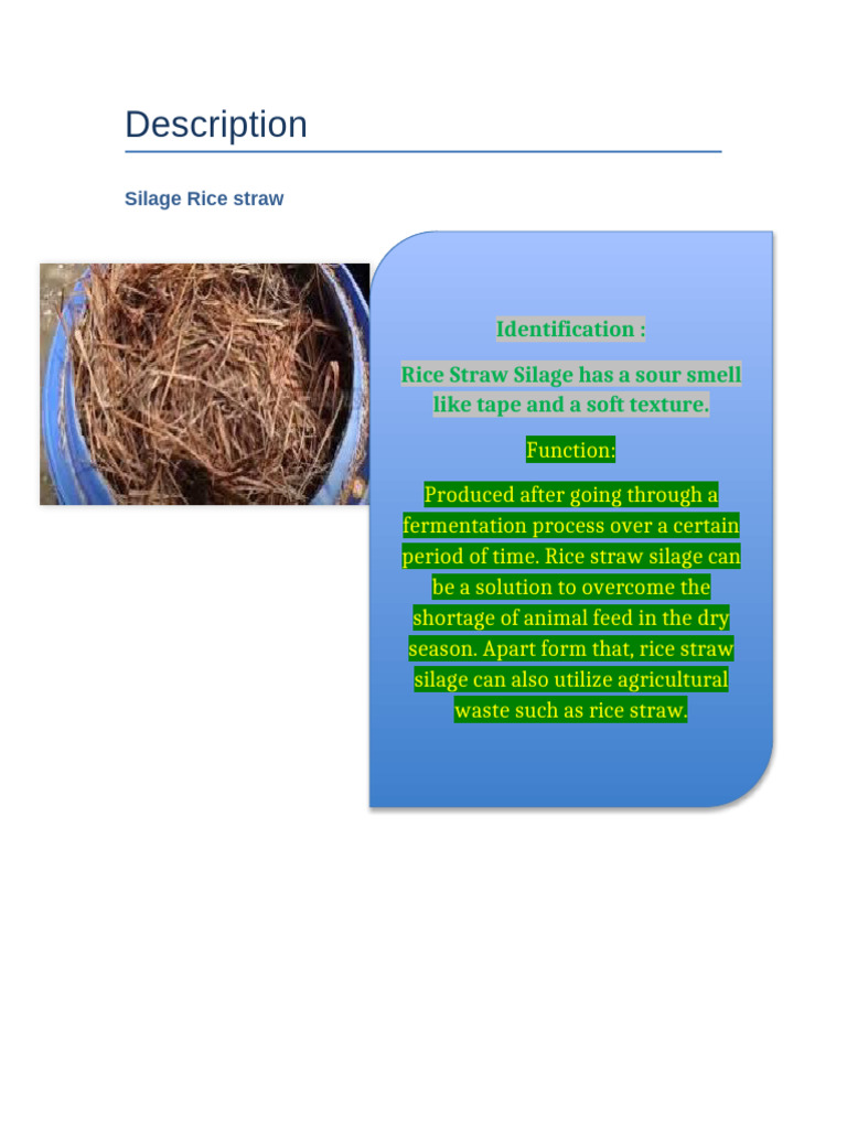 Format Description of Rice Paleas Silvae | PDF