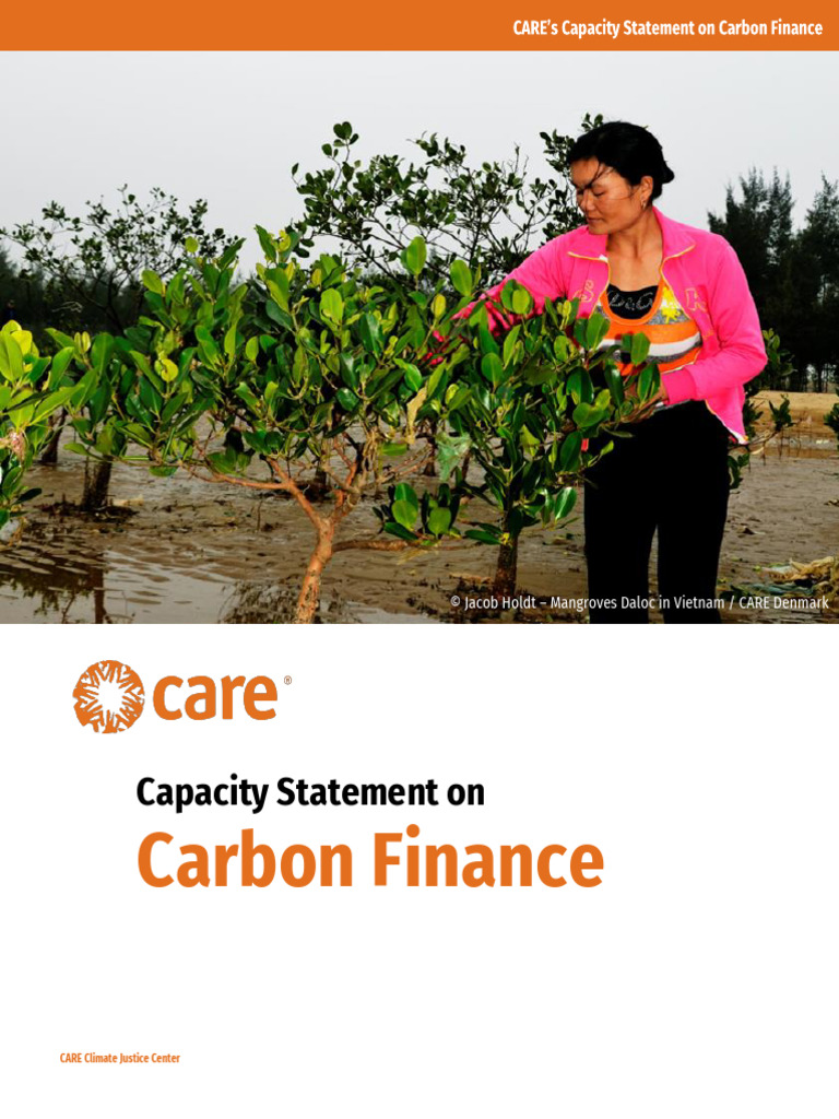 CAREs Capacity Statement On Carbon Finance 071124 FINAL | PDF ...