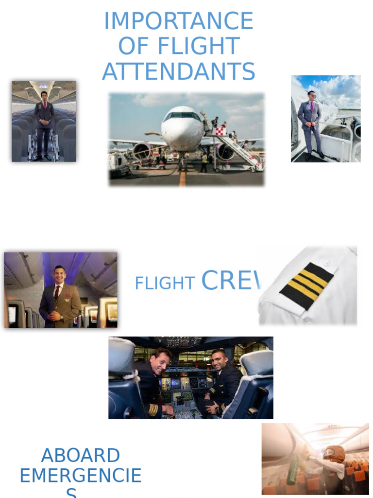 Importance of Flight Attendants,.,.,. | PDF