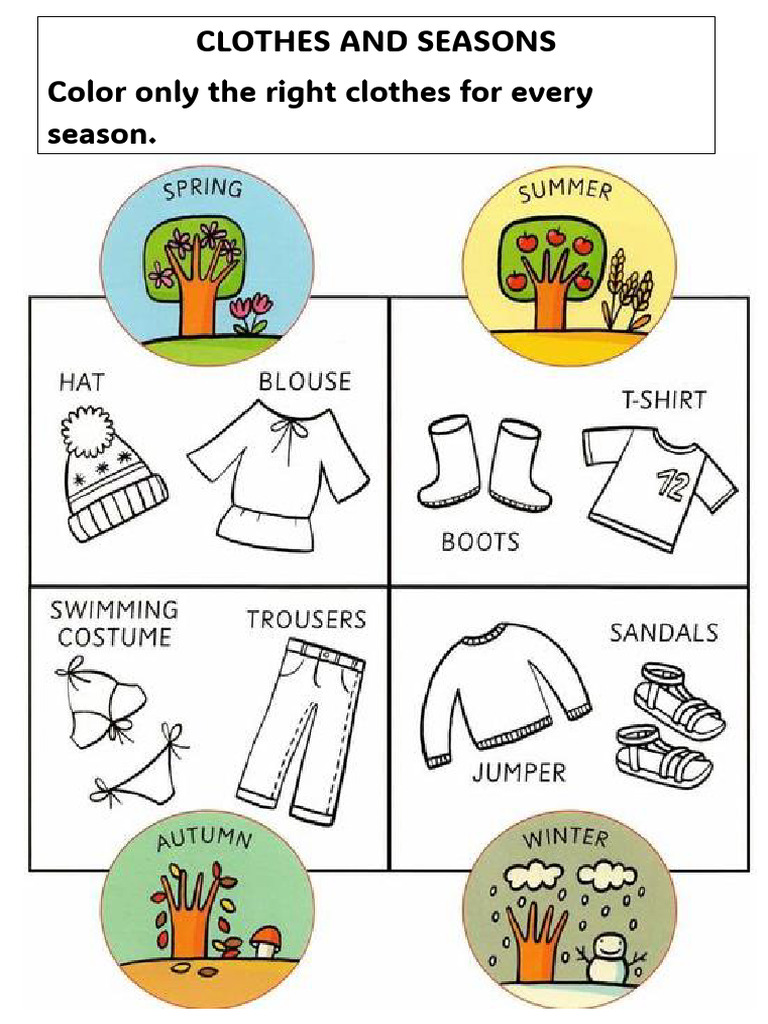 Clothes and Seasons 1st Grade | PDF