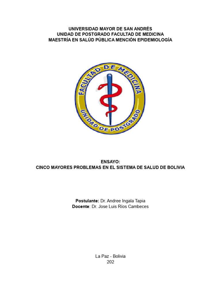 Ensayo Trab. Final-Andree Ingala Tapia | PDF | Hospital | Jubilación